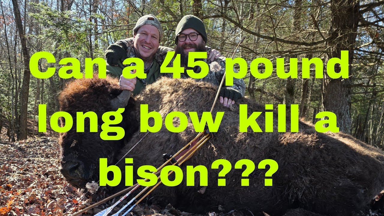 Bison hunting in TN 2026 - Traditional long bow hunting - YouTube
