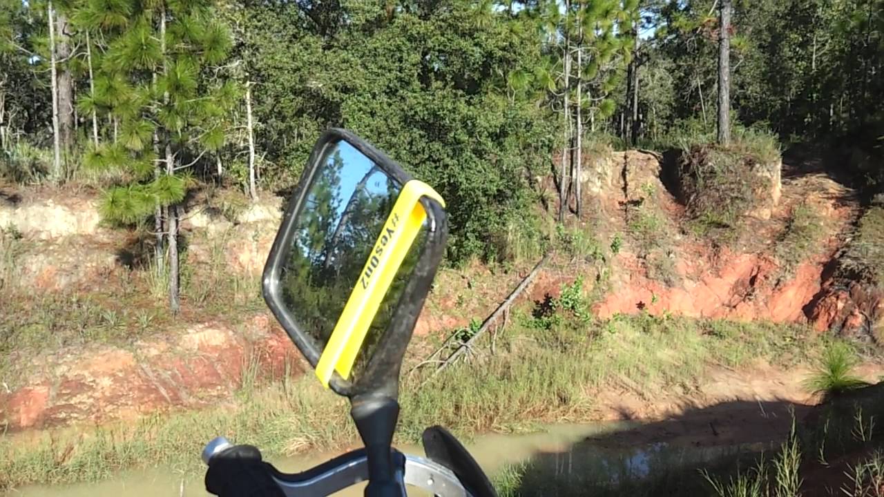 Citrus Wildlife Management Area - YouTube