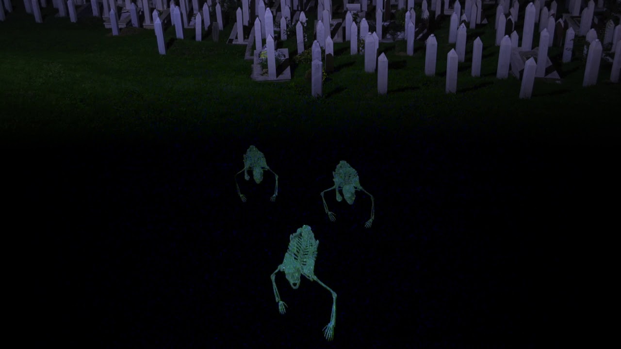 Projection Test of New Skeletons Product - YouTube