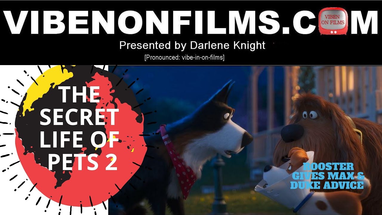 THE SECRET LIFE OF PETS 2 "Rooster Gives Max Duke Advice" Clip - YouTube