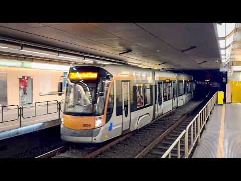 Trams and Premetro in Brussels, Belgium 🇧🇪 | 2024