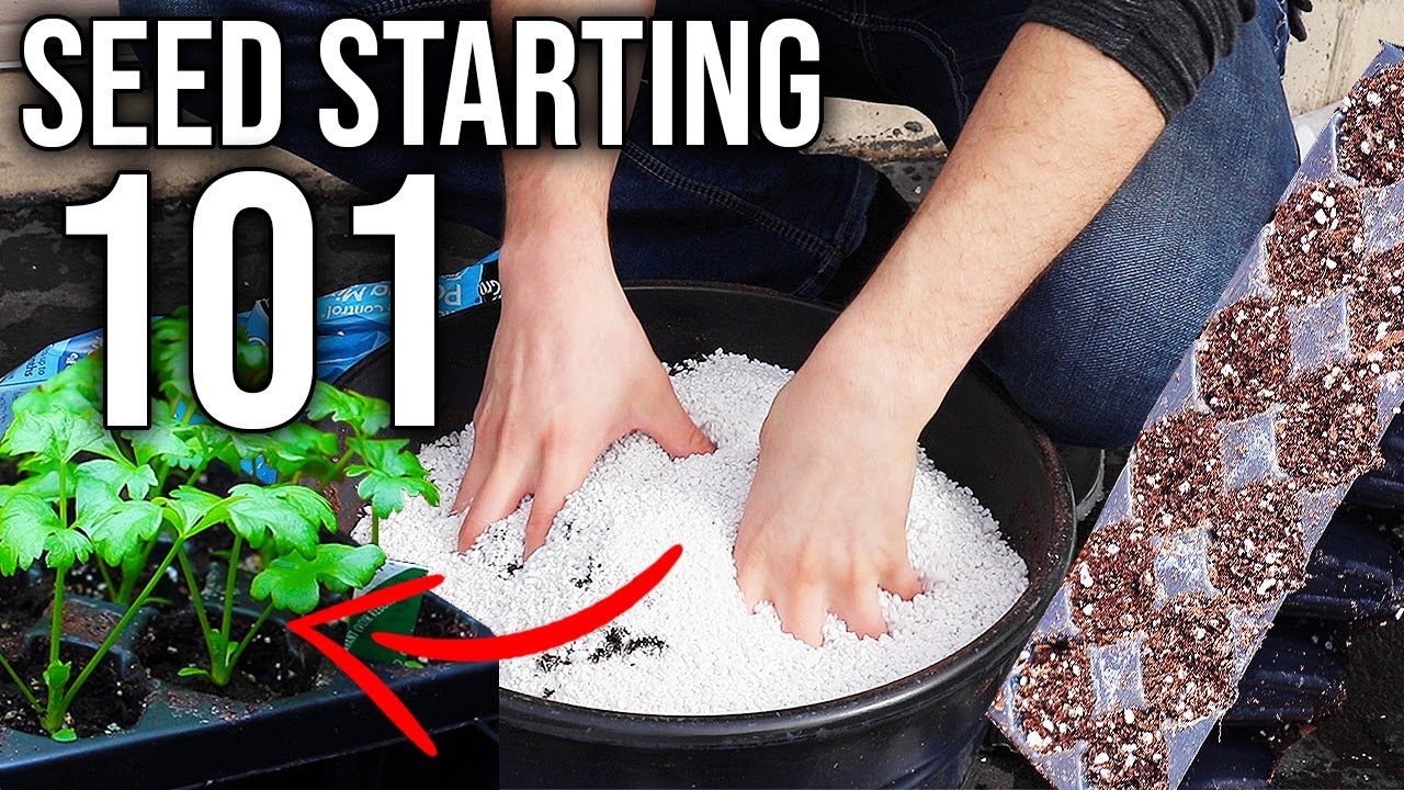 How to Start Seeds Indoors PERFECTLY | Easy Guide to 10X Germination! - YouTube