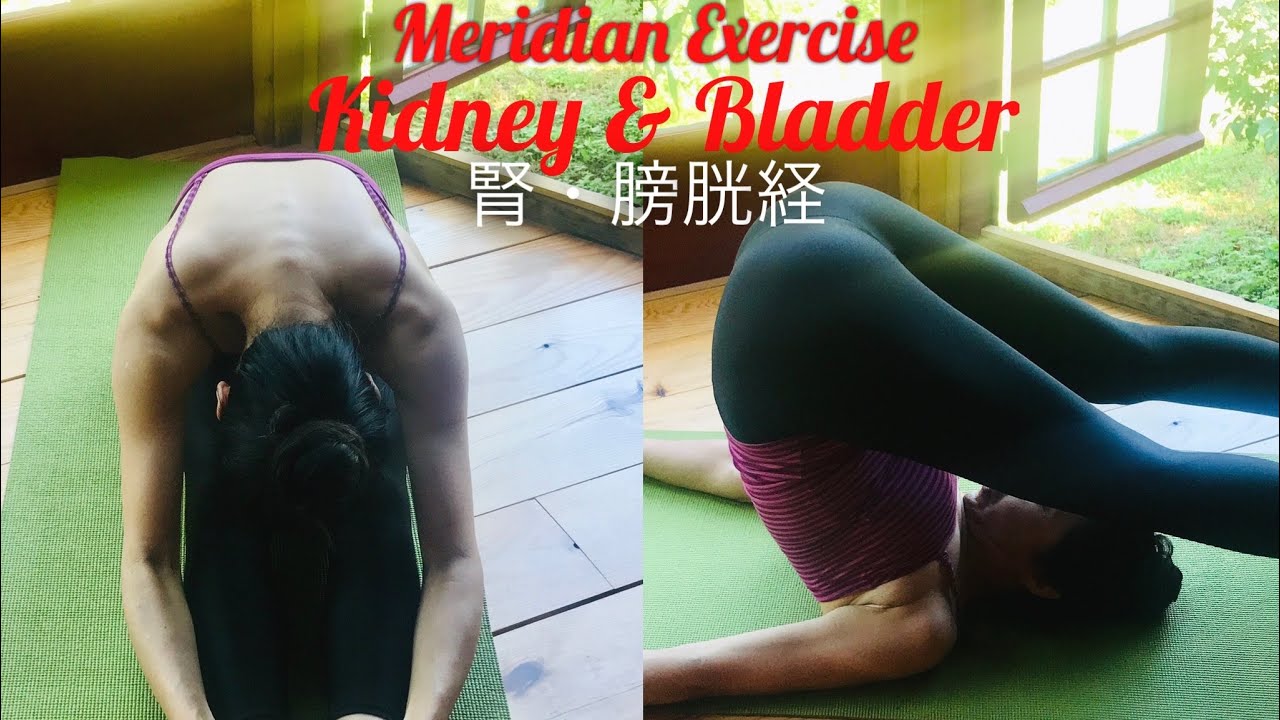 MERIDIAN Exercises/KIDNEY & BLADDER / 経絡体操・真向法（腎・膀胱経） - YouTube