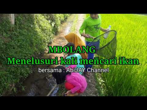 MBOLANG MENELUSURI KALI MENCARI IKAN DAN UDANG || BERSAMA ABIJAY CHANNEL