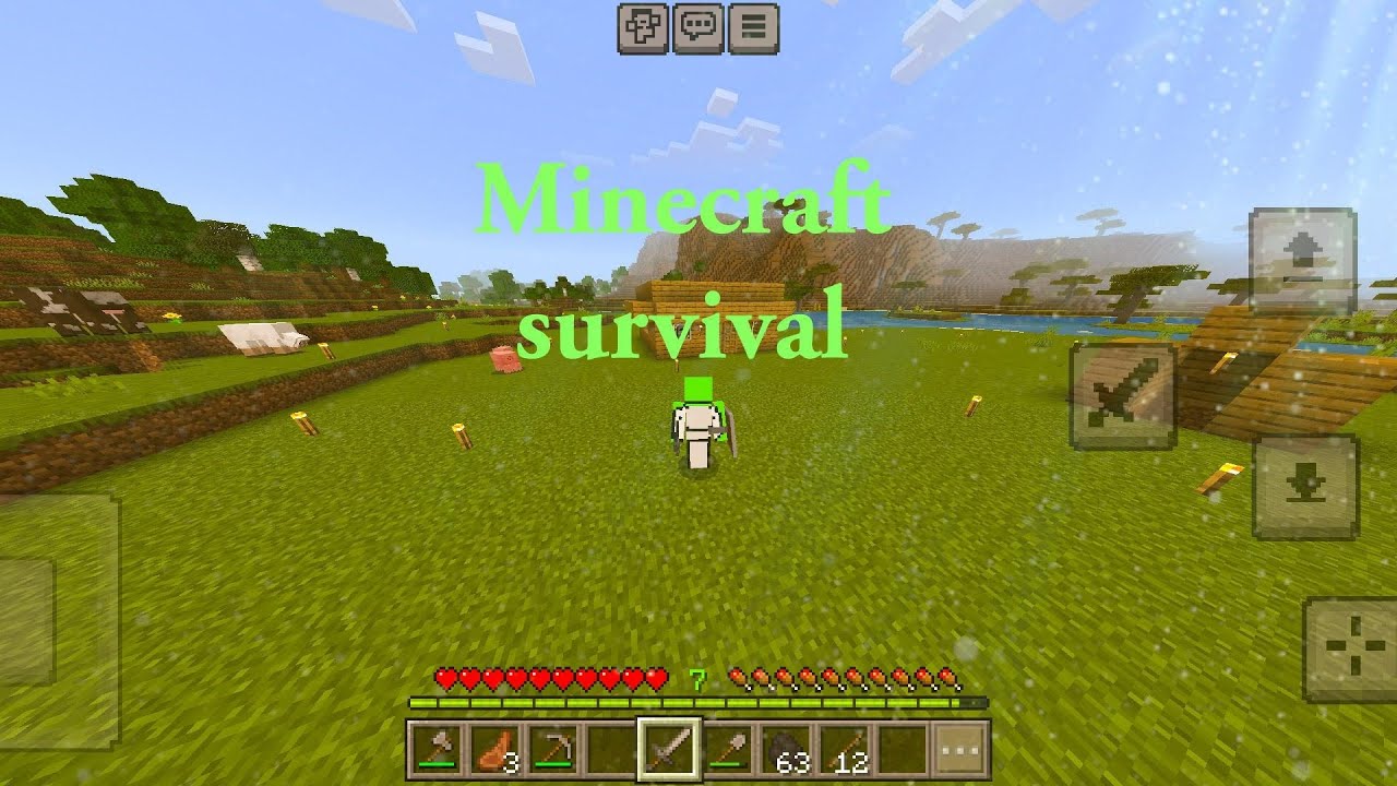 Survival with my friend mimic duck - YouTube