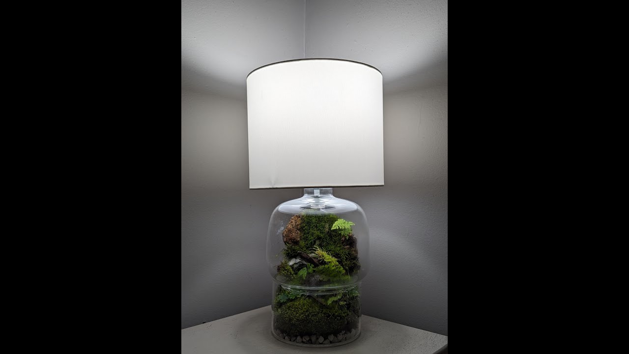 DIY Living Mini Terrarium Lamp Build - YouTube