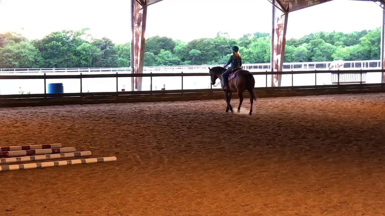 APHA Ranch Riding 18 & Under May 2 Show - YouTube