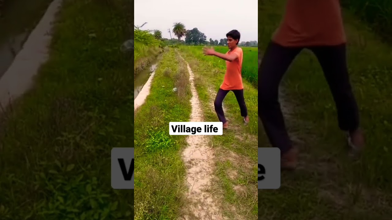 Village Life | #shorts |Indian farmers| agriculture |khet pe |Indian ...