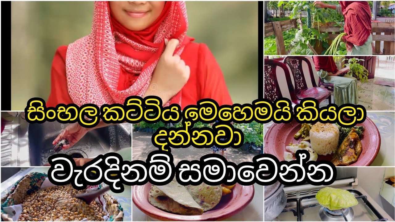 භිතුවෙ නෑ මෙහෙම වෙයි කියලා/Chappathi Recipe/Home made Thriposha recipe ...