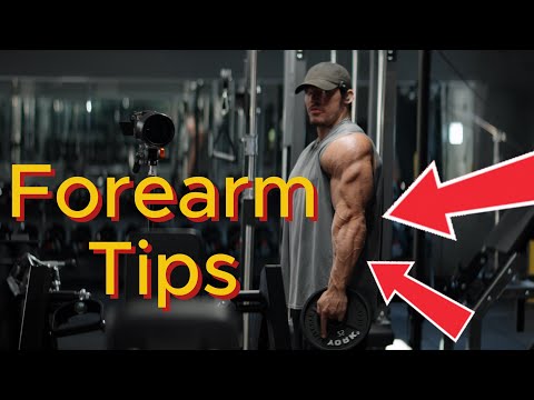 Forearm Workout 