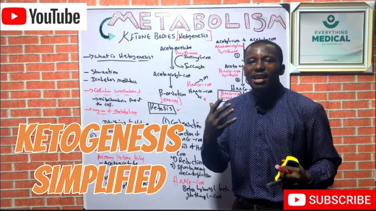 KETOGENESIS|KETONE BODIES SYNTHESIS MADE EASY - YouTube