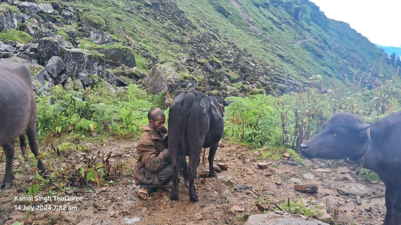 This is Himalayan Life || Most & Peaceful Relaxation Daily Life ...