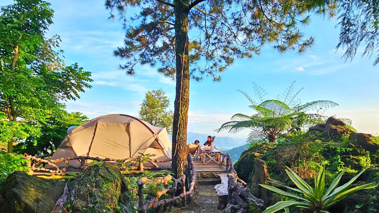 Camping Keluarga di Hutan Pinus BATU NYONGCLO | Majalengka | Jawa Barat ...