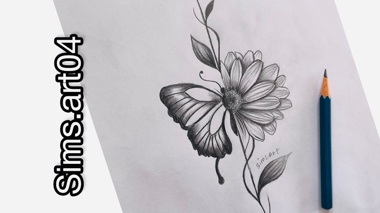 How to draw half Butterfly with flower || Flower and butterfly drawing ...