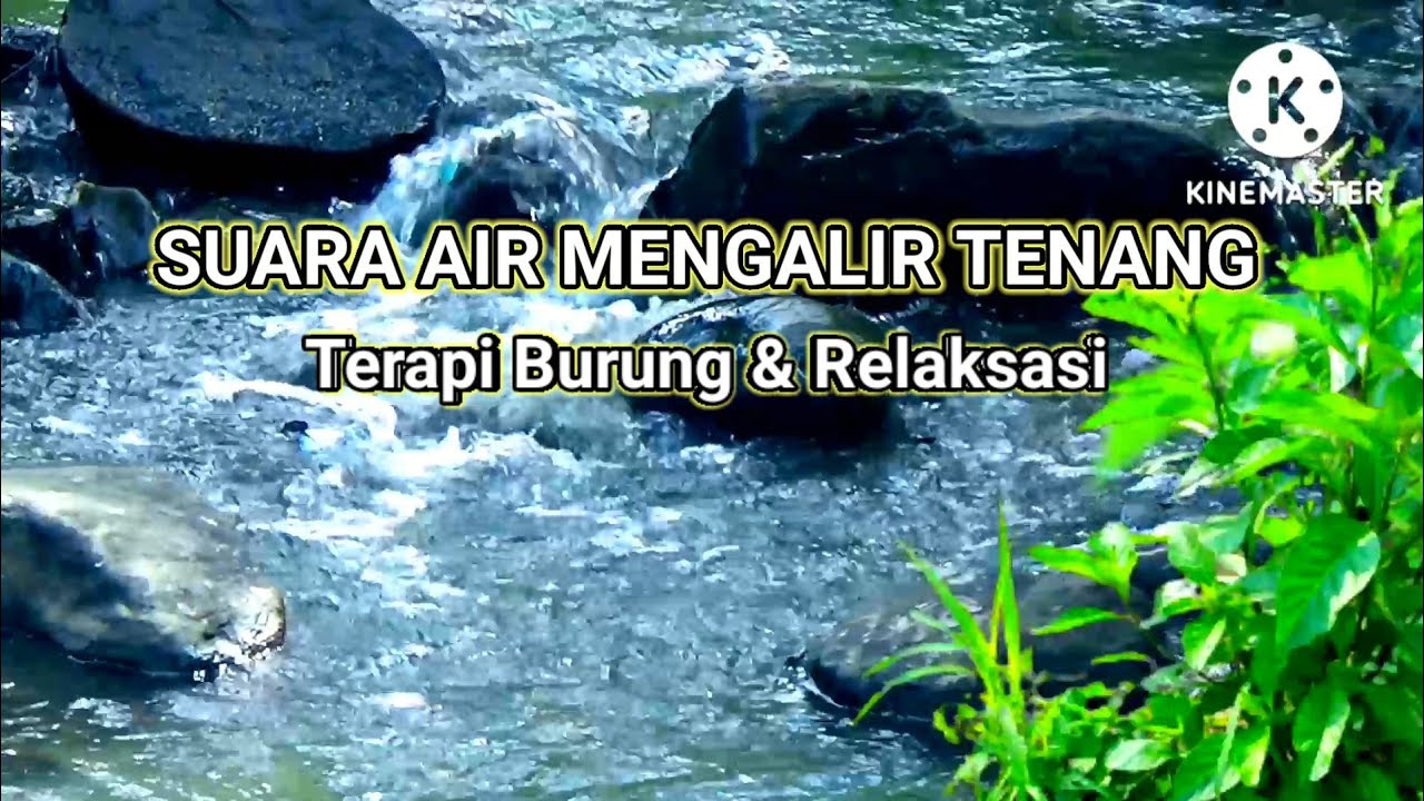 relaksasi suara gemericik air mengalir tenang - suara air terapi burung ...