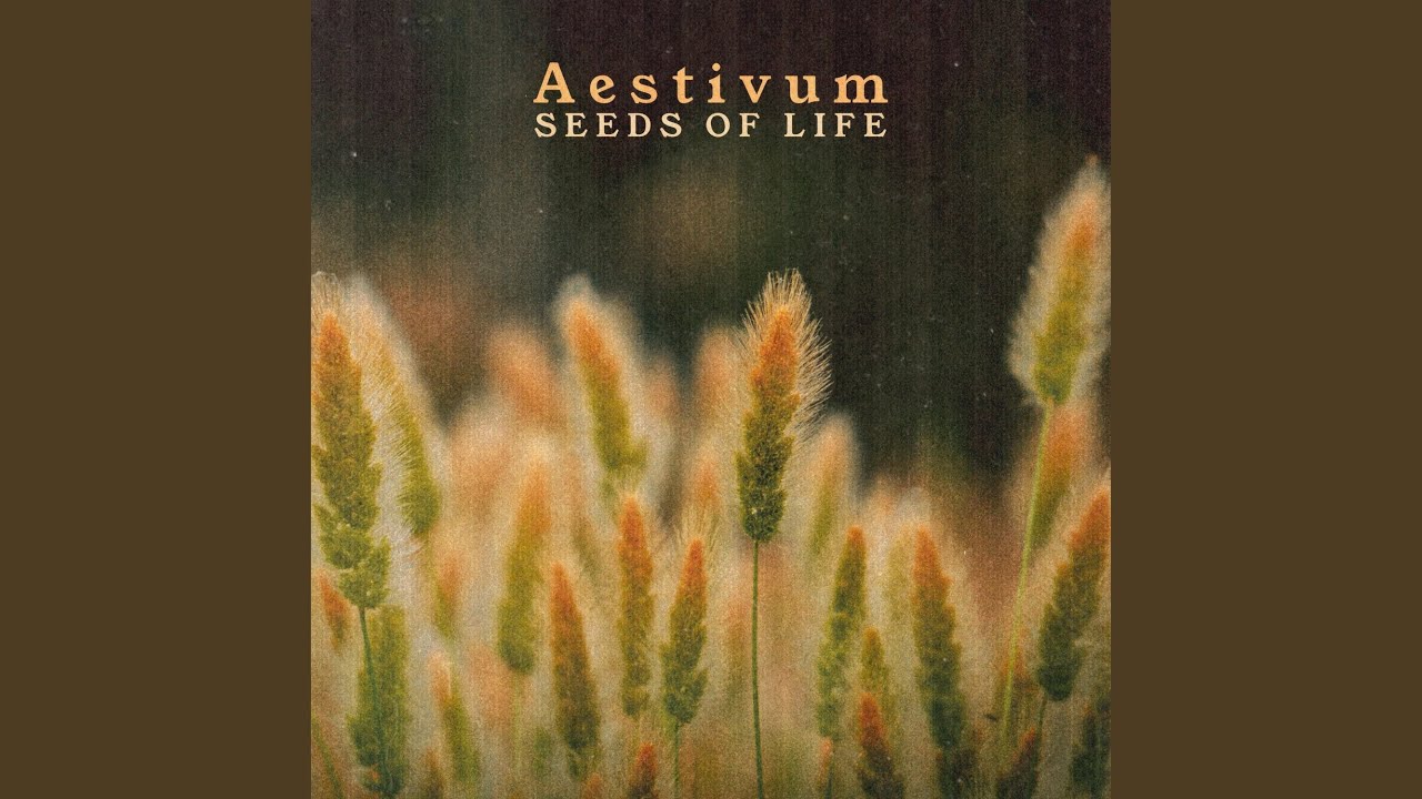 Seeds Of Life - YouTube Music