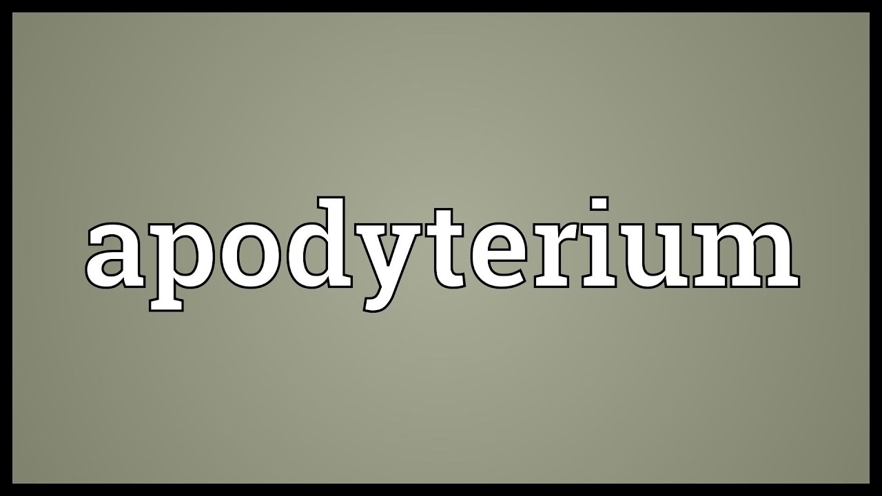 Apodyterium Meaning - YouTube