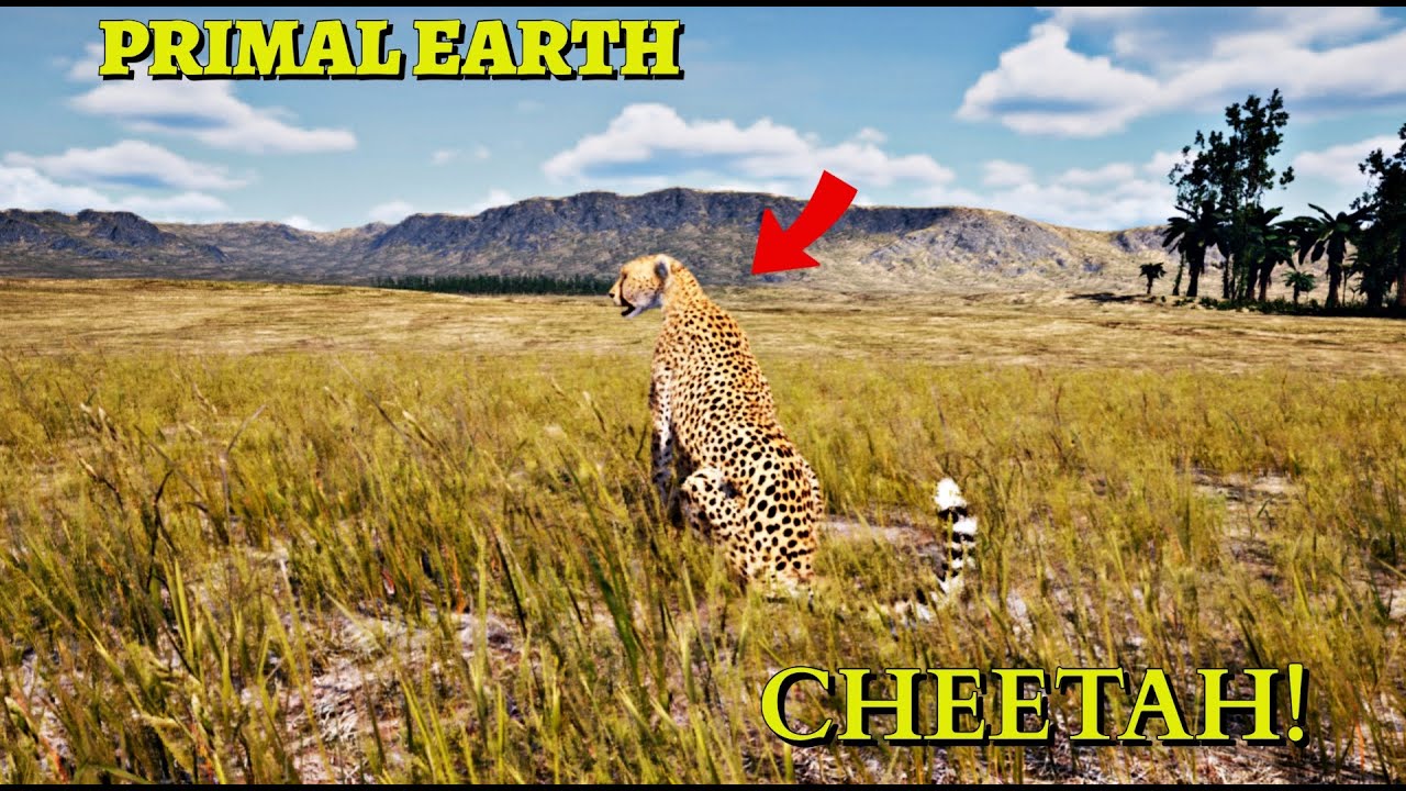 Primal Earth | Cheetah Gameplay - YouTube