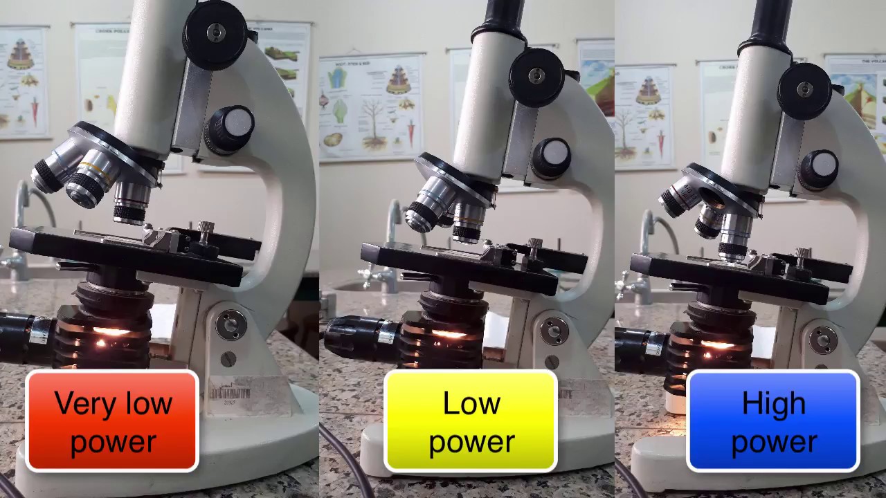 How to use the Microscope IGCSE AS Biology 9700 (Part 2) - YouTube