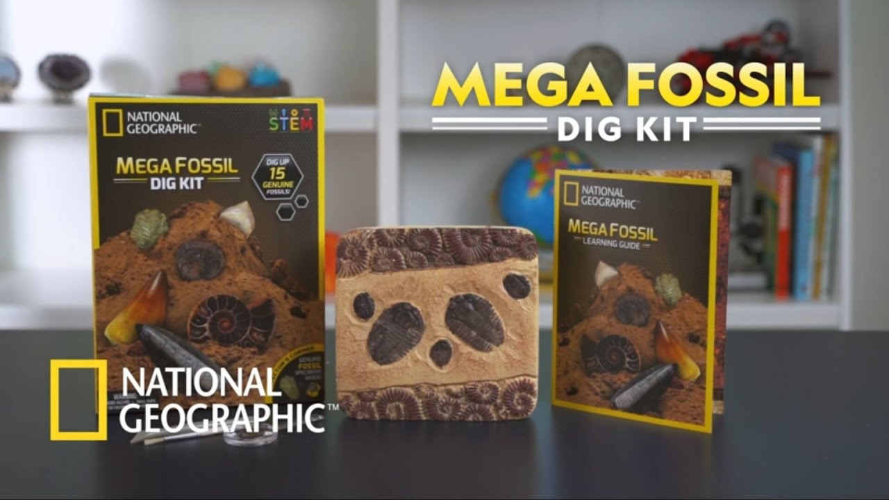 NATIONAL GEOGRAPHIC Mega Fossil Dig Kit - YouTube