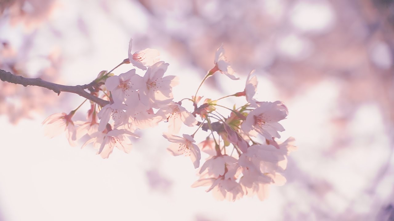 Arabesque Choche - Happy Ending - YouTube