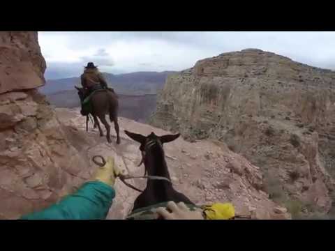 Horseback Riding in the Grand Canyon - YouTube