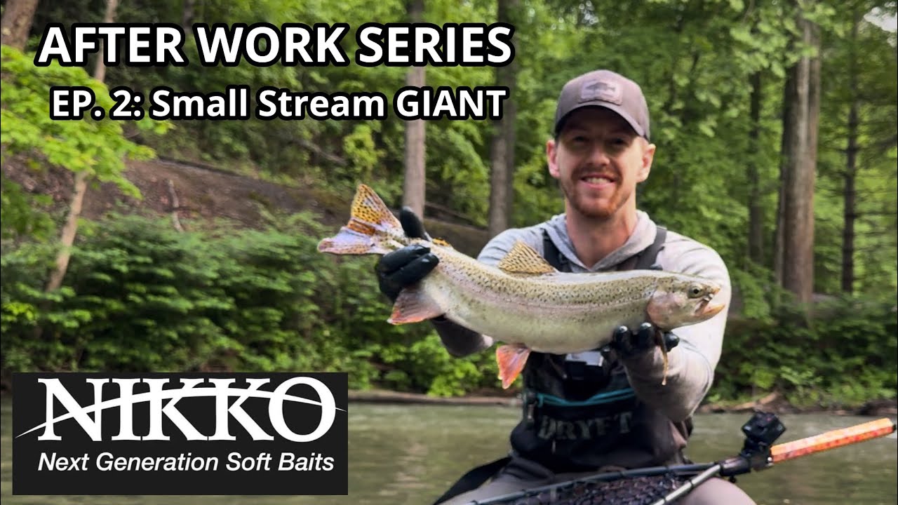 Fishing for small stream WILD TROUT! (BIG FISH) - YouTube