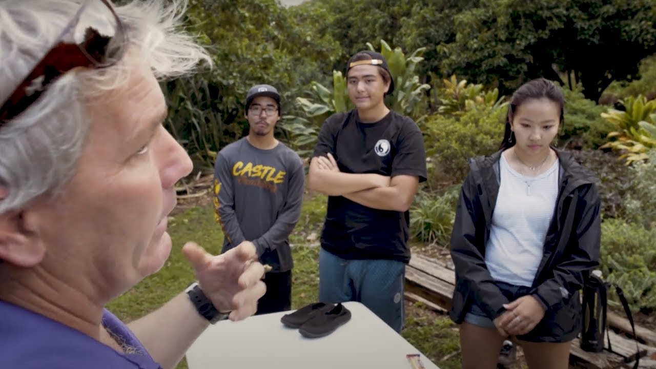 Hawaiʻi B-WET program: Taro Patches - YouTube