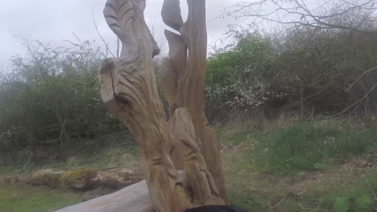 RileyDog Pocket Park Session #1 - YouTube