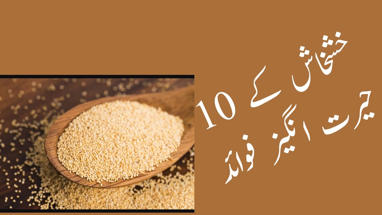 Khash Khash khane ke Fayde | Poppy seeds Benefits in Urdu - YouTube
