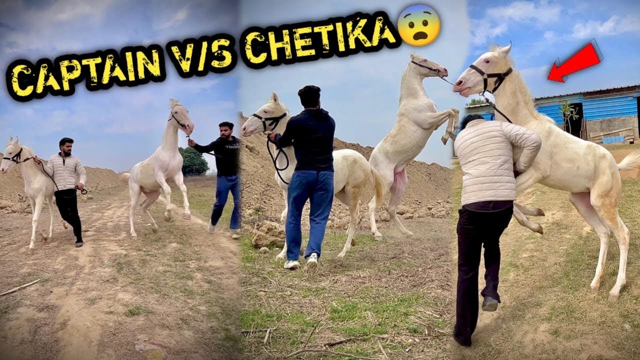 SURPRISED😨 ️ Socha Nahi Tha CAPTAIN Or CHETIKA Jab Milenge Toh Aisa ...