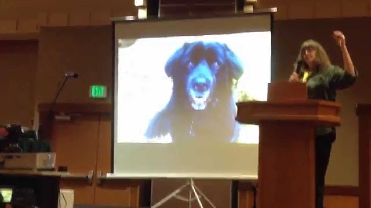 Sasquatch Summit 2014 My Presentation with Barb & Gabby - YouTube