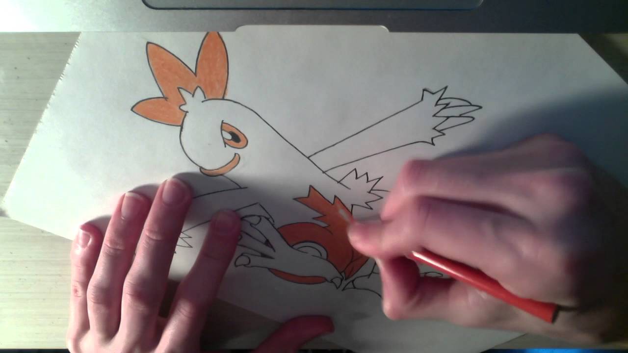 Drawing all the Pokemon: Number 256 Combusken - YouTube