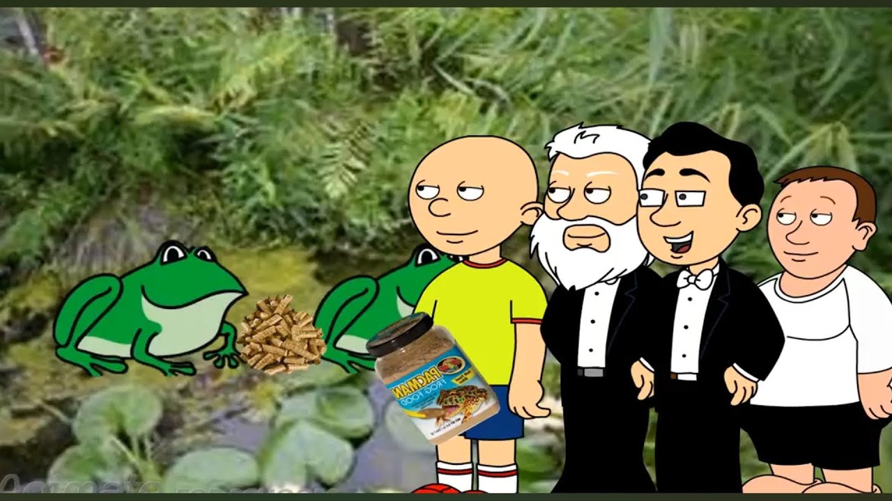 Caillou puts chemicals in the water to turn the frogs gay and gets ...