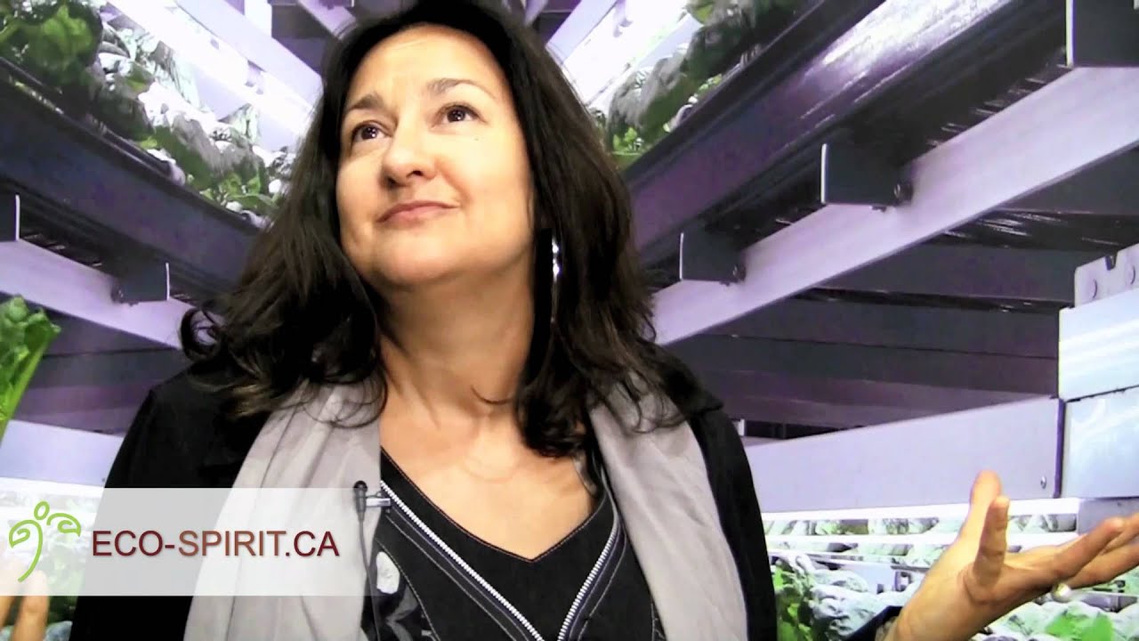 Eco-Spirit Testimonial 2 - YouTube