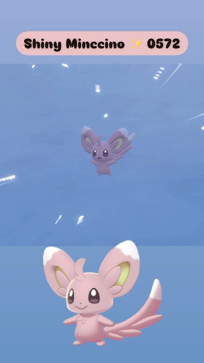Shiny Minccino 0572 caught in Pokemon Scarlet with Mass Outbreak - YouTube