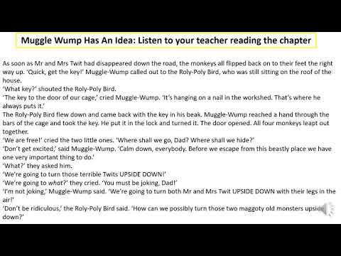 English Literature - Year 7 W6 The Twits Chapter 22 - YouTube