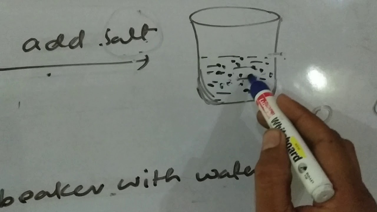 9th Class NCERT Science, Activity 1.1.1 - YouTube
