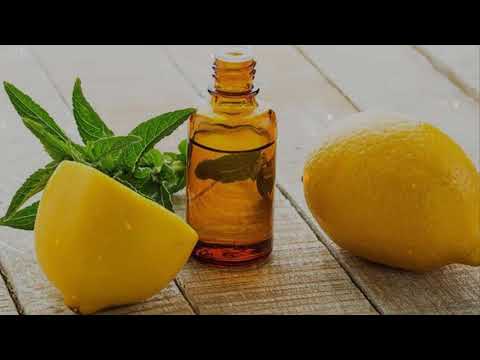 Teri uchun foydali bir qancha moy turlari