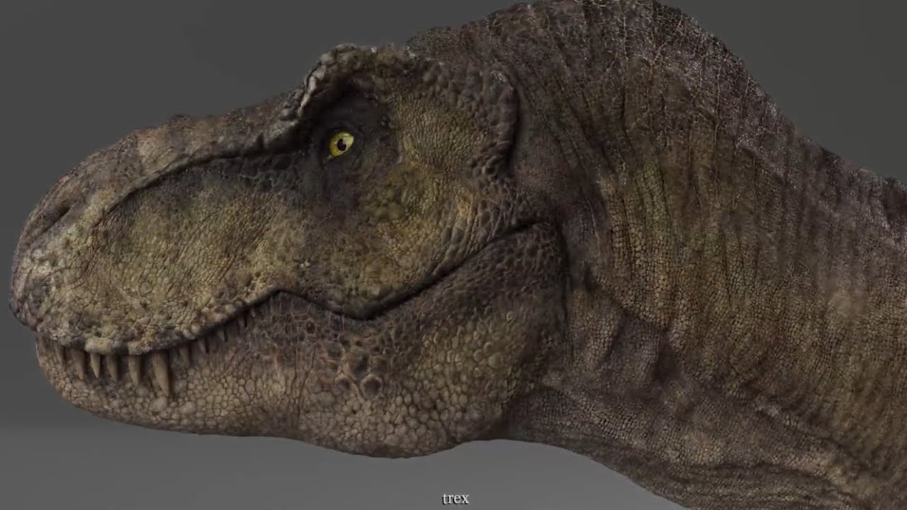 Jw Rex Stk Showcase - Stick Nodes - SineRator - YouTube