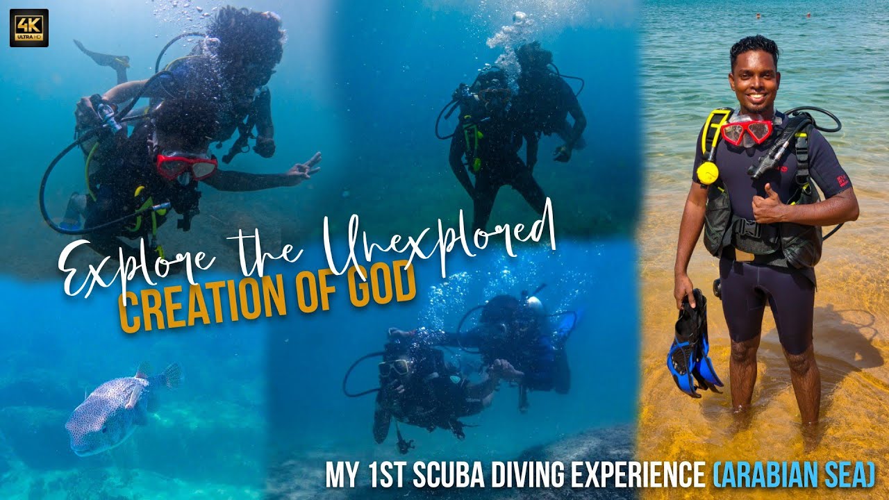 அரபிக் கடலில் SCUBA DIVING - God's Created Marvellous Marine Journey ...