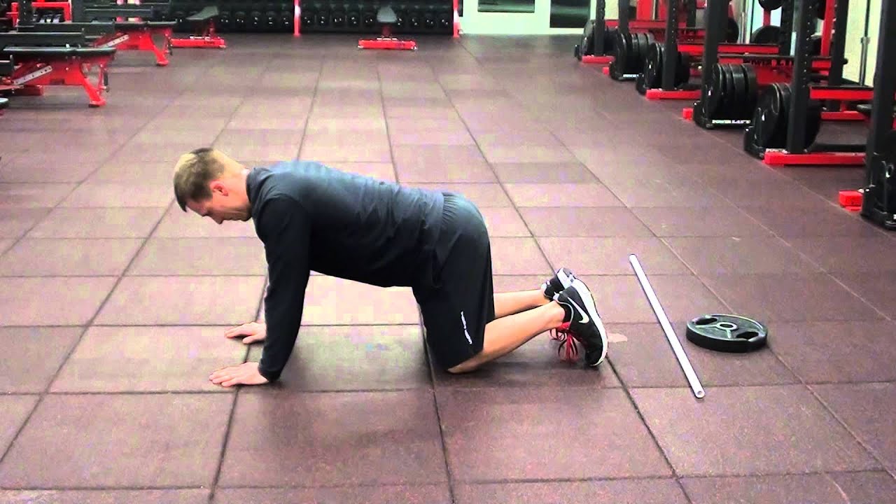 Quadruped Arm Lift - YouTube