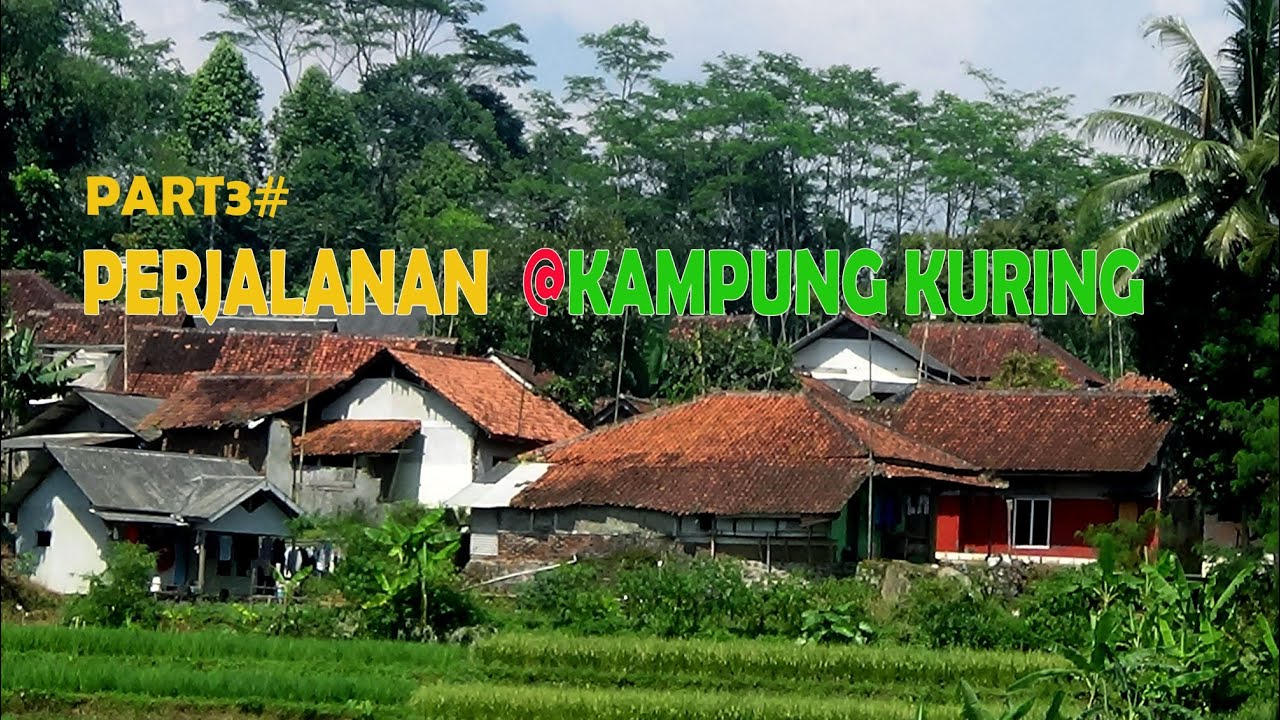 ketika aktivitas @kampung kuring@ - YouTube