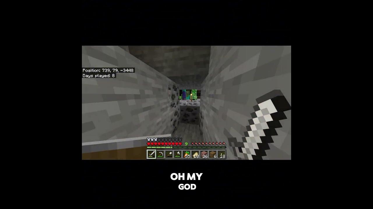 I HAVE NEVER SEEN SO MANY !!! #newvideo #minecraft #algorithm #gaming # ...