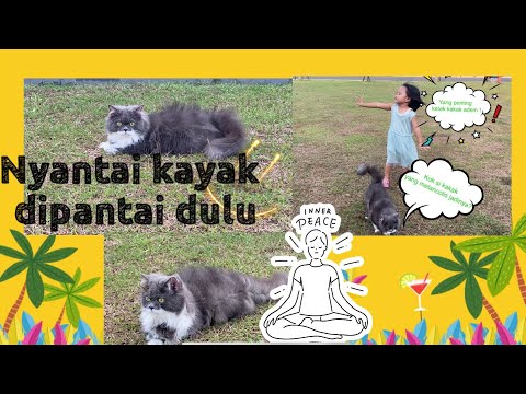 #20. Ibu Hamil Diajak Jalan-Jalan Sore Berasa Dipantai