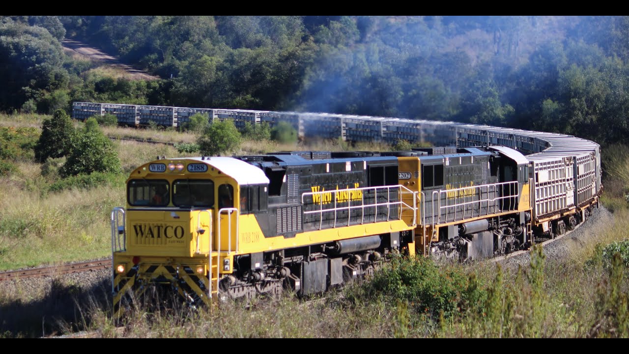 Watco cattle trains Sherwood and between Cranley and Walloon - YouTube