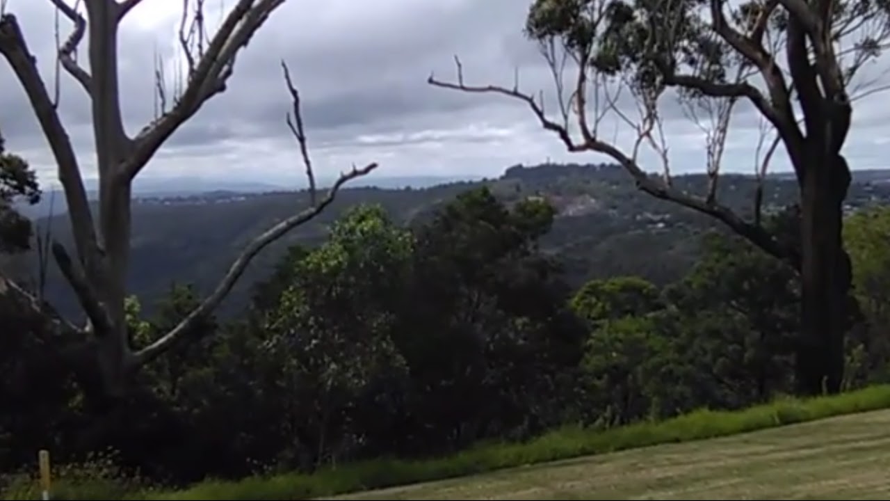 OF THE DAY TV 24 Live - YouTube