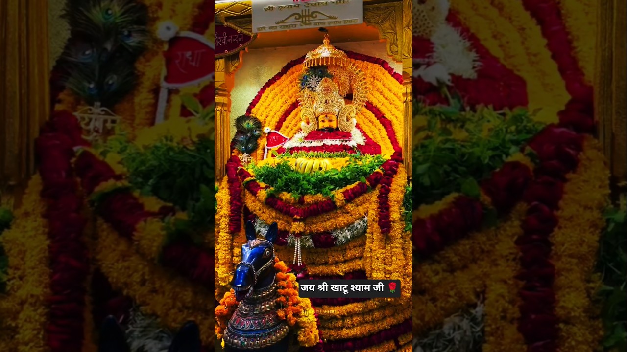 जय श्री श्याम बाबा 🌹 #youtubeshorts#shyam#khatushyamsarkar#bhajan#love# ...