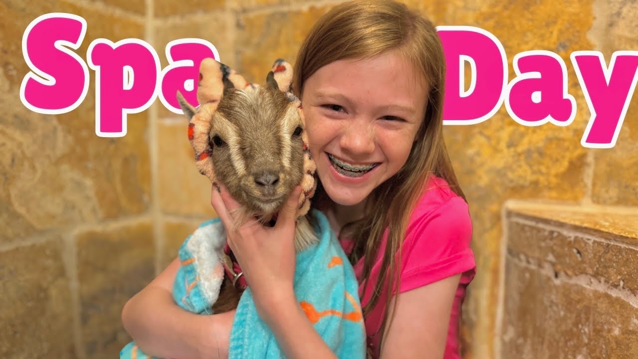 FARM ANIMALS get a SPA DAY?! - YouTube