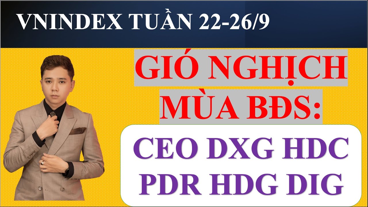Gió nghịch mua cổ phiếu BĐS: CEO DIG PDR HDC DXG HDG... - YouTube